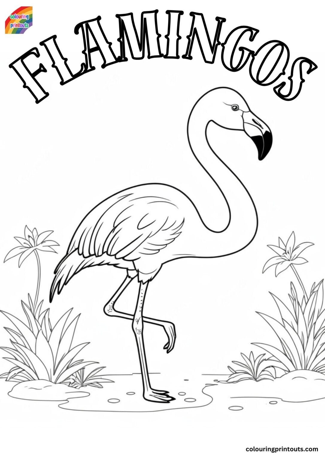 Coloring Pages Of Flamingos