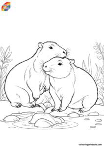 Capybara Coloring Page