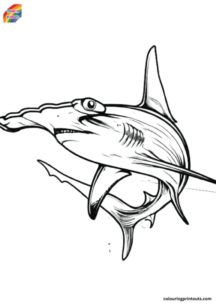 Hammerhead Shark Pictures To Color