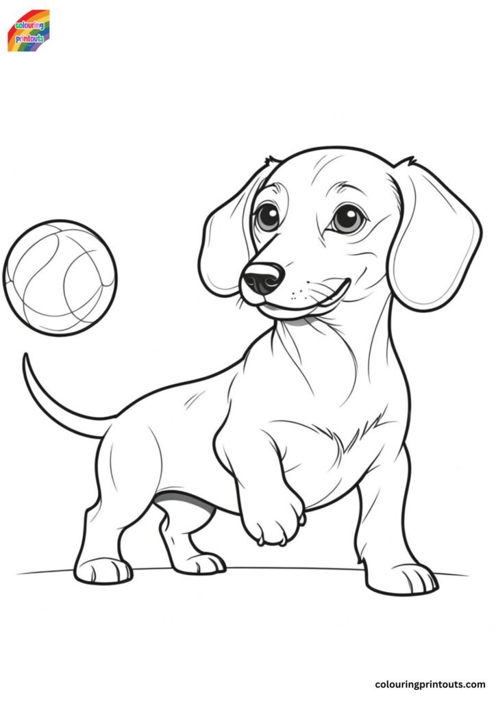 10+ Sausage Dog Colouring Pages