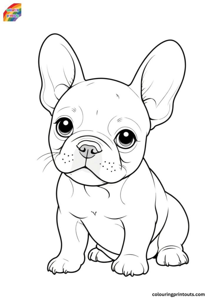 French Bulldog Coloring Sheets (Free Download)