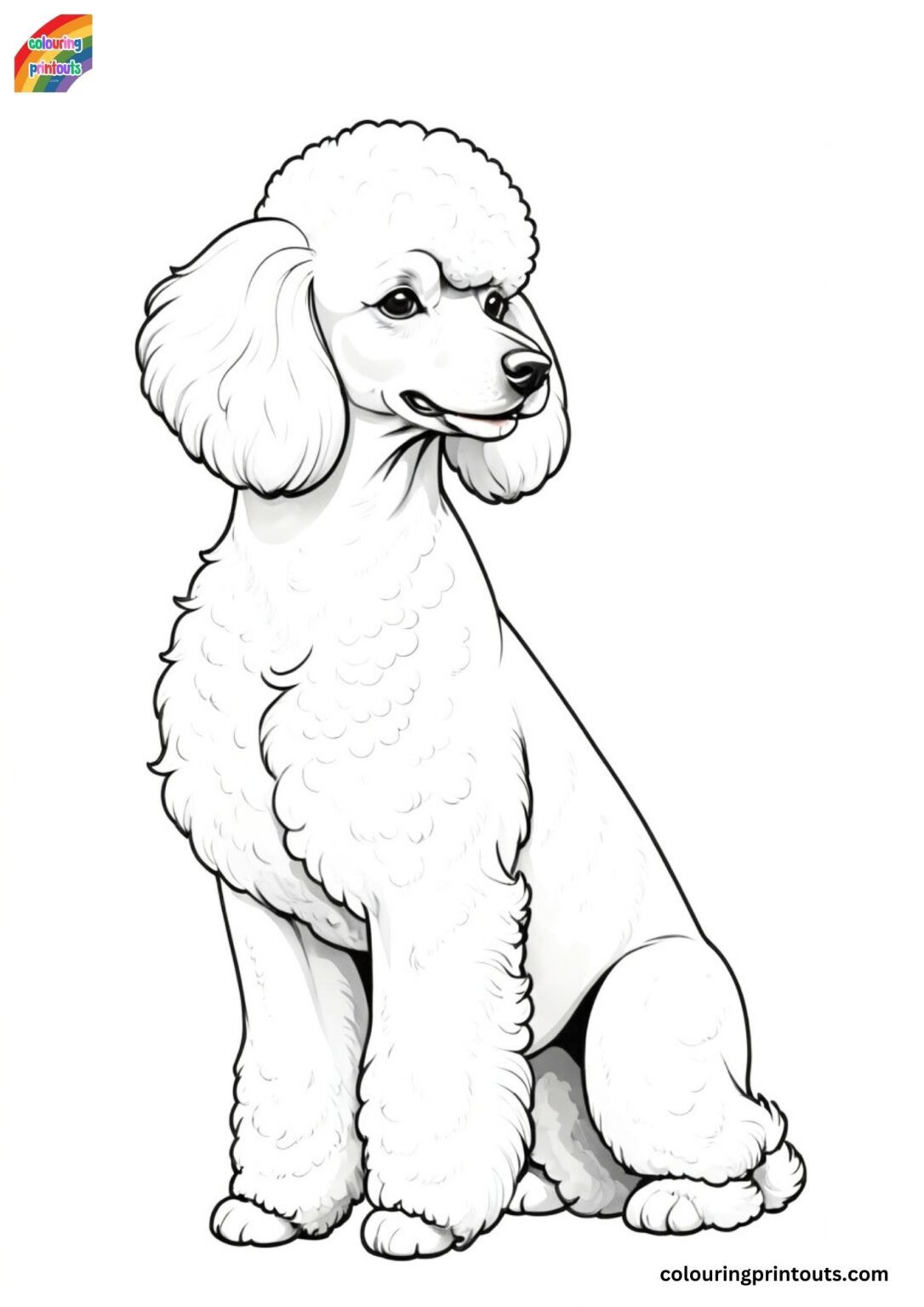 15+ Coloring Pages of Poodles (FREE PRINTABLES)