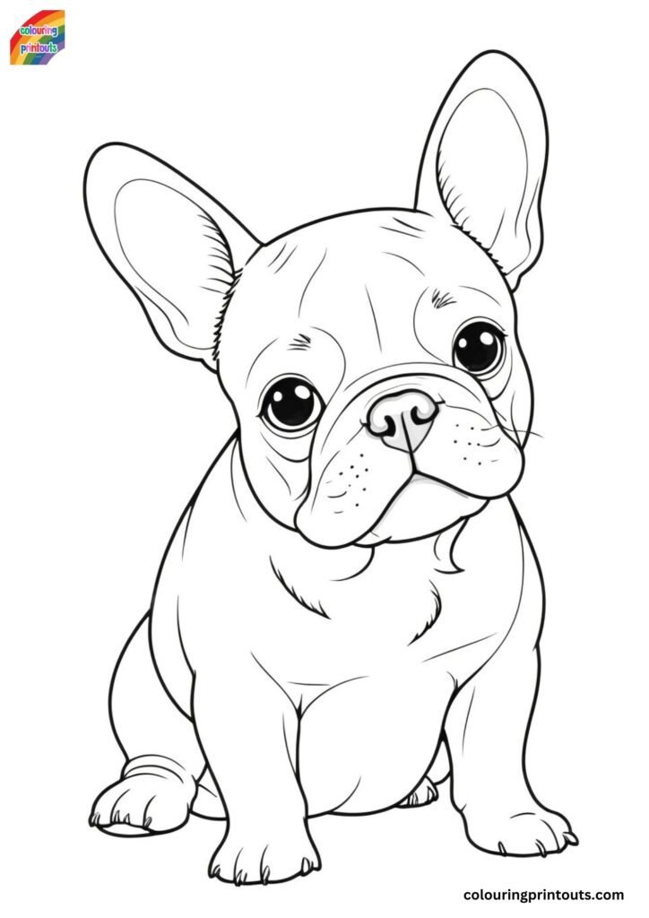 French Bulldog Coloring Sheets (Free Download)