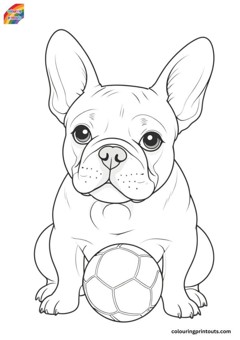 French Bulldog Coloring Sheets (Free Download)