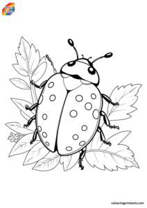 10 + Ladybird Colouring Pages