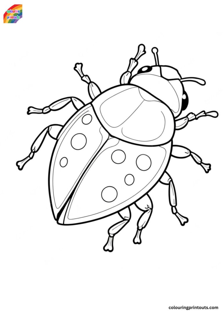 10 + Ladybird Colouring Pages