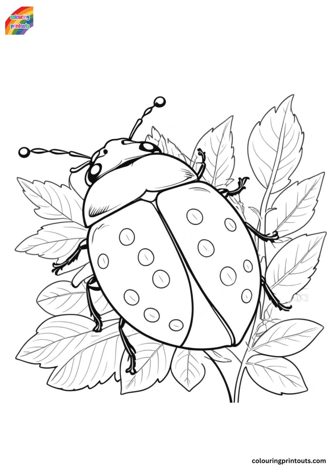 10 + Ladybird Colouring Pages