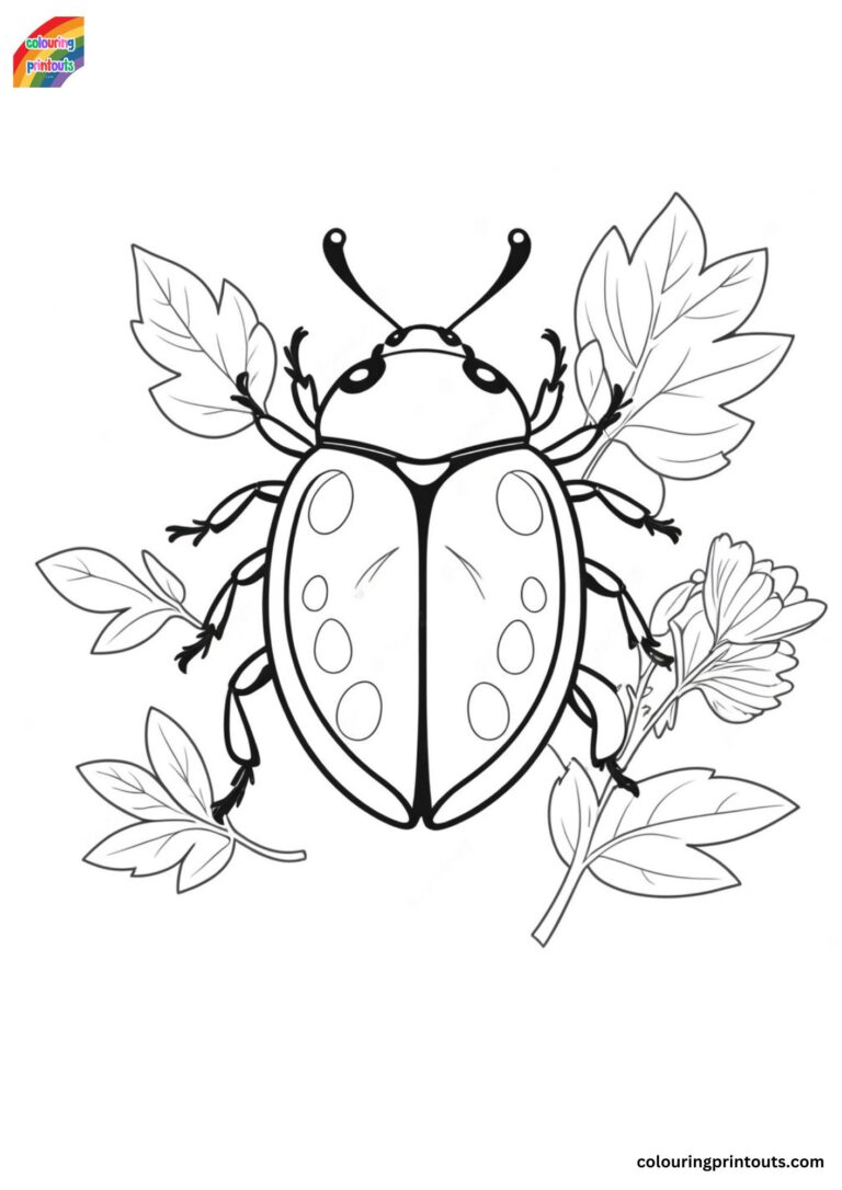 10 + Ladybird Colouring Pages