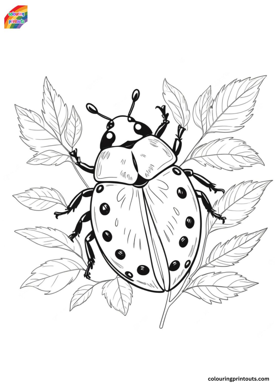 10 + Ladybird Colouring Pages
