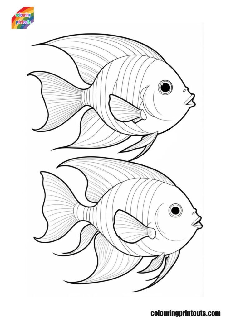 Angelfish Coloring Pages [Free Printables]