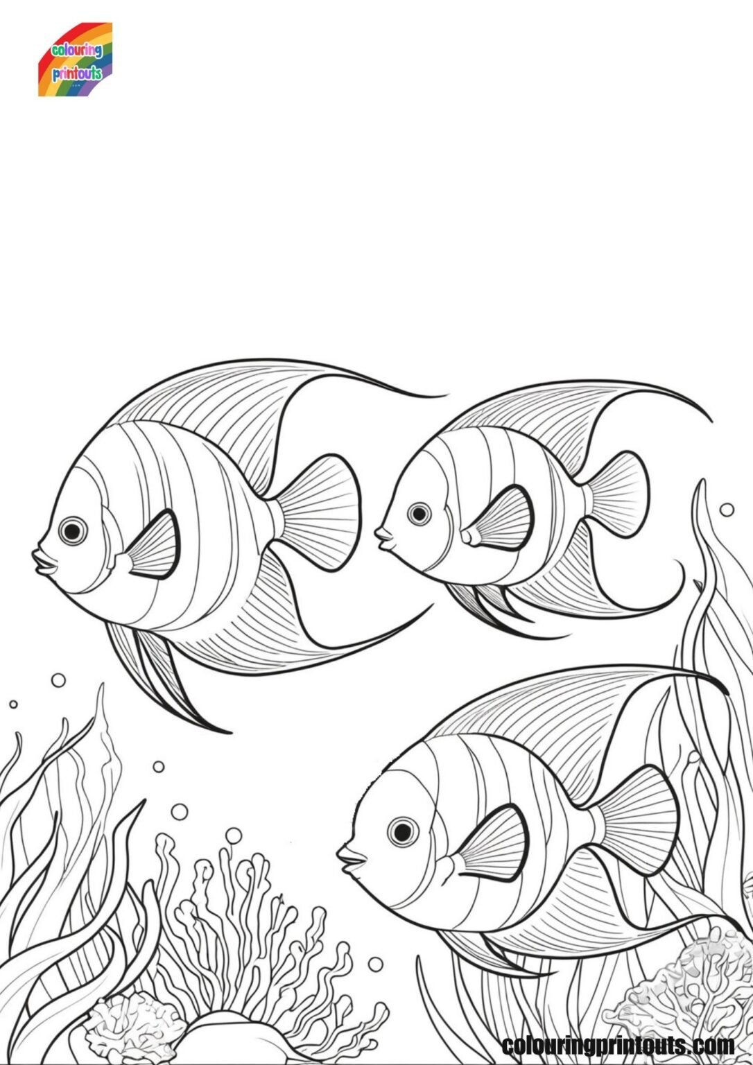 Angelfish Coloring Pages [Free Printables]