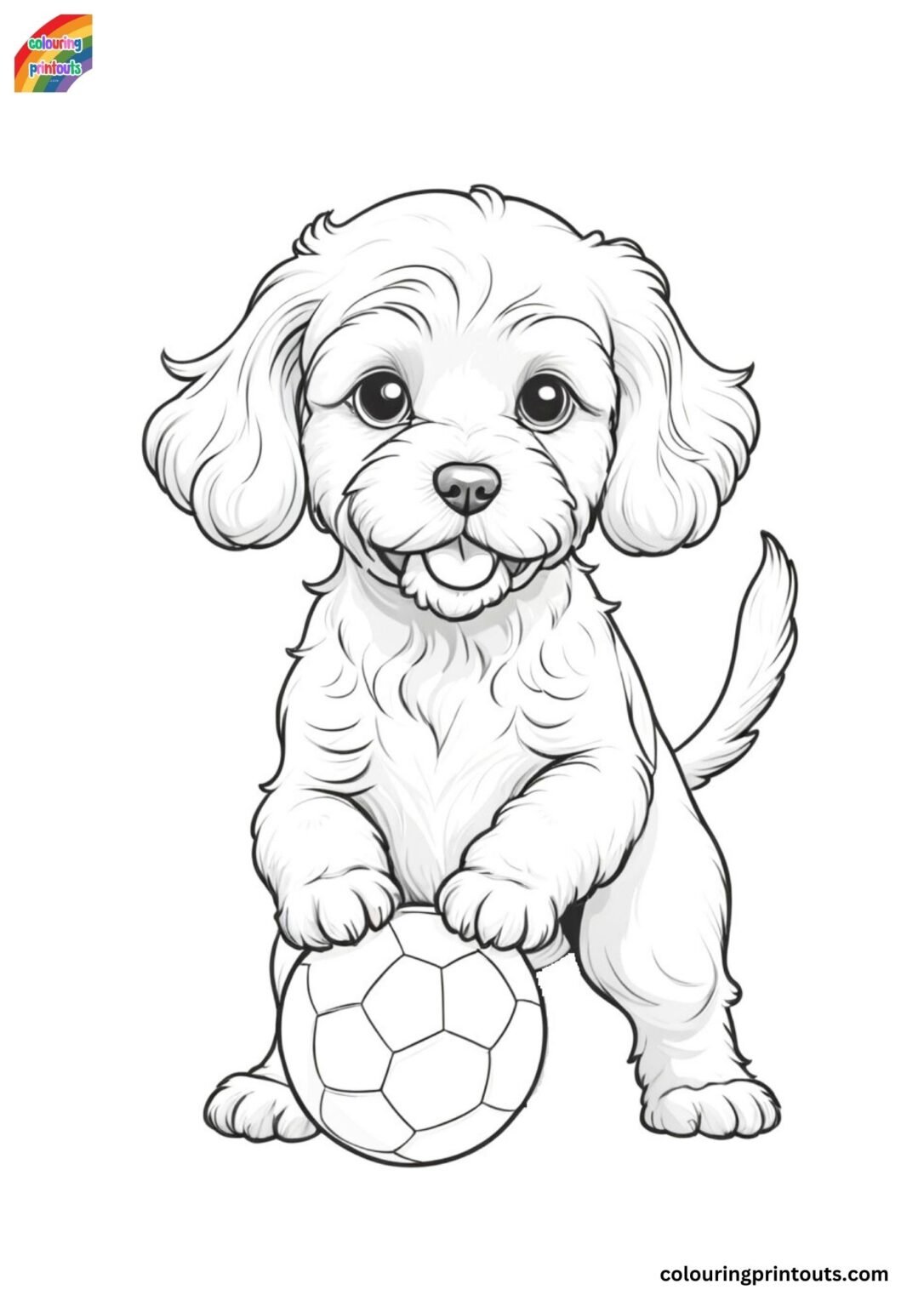 Cockapoo Colouring Pages (Free Download)