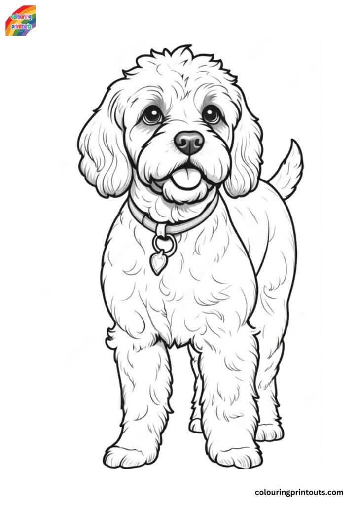 Cockapoo Colouring Pages (Free Download)