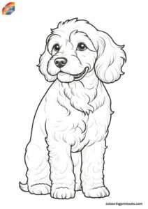 Cockapoo Colouring Pages (Free Download)