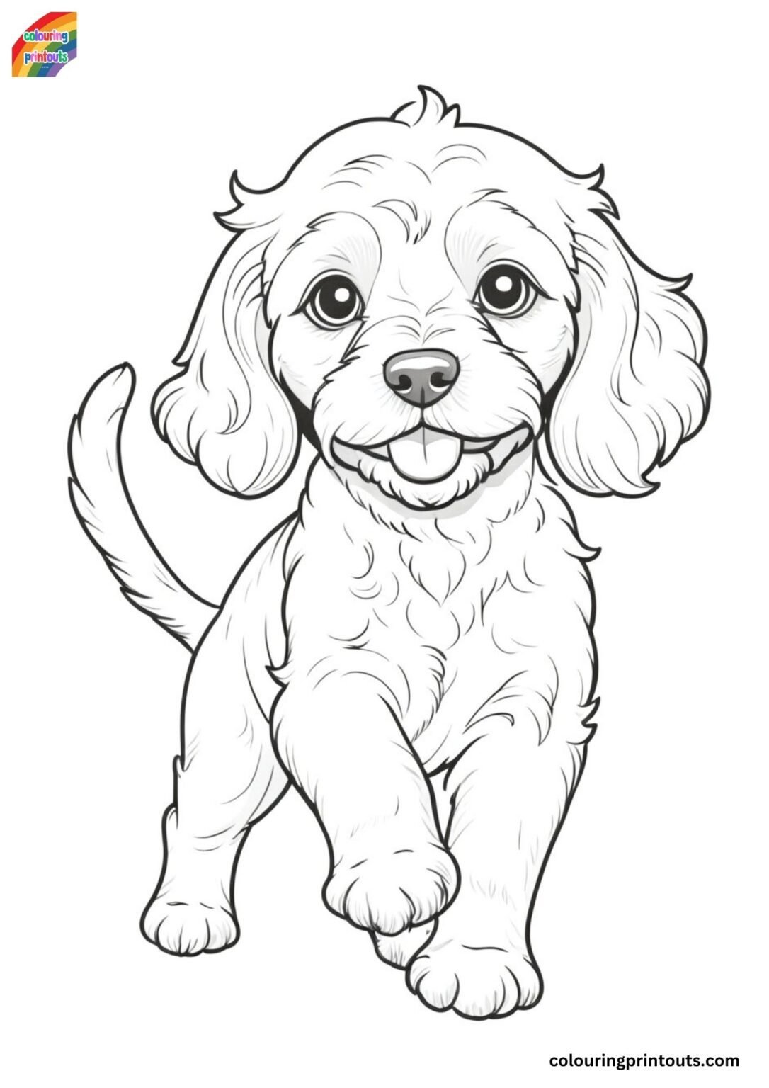 Cockapoo Colouring Pages (Free Download)