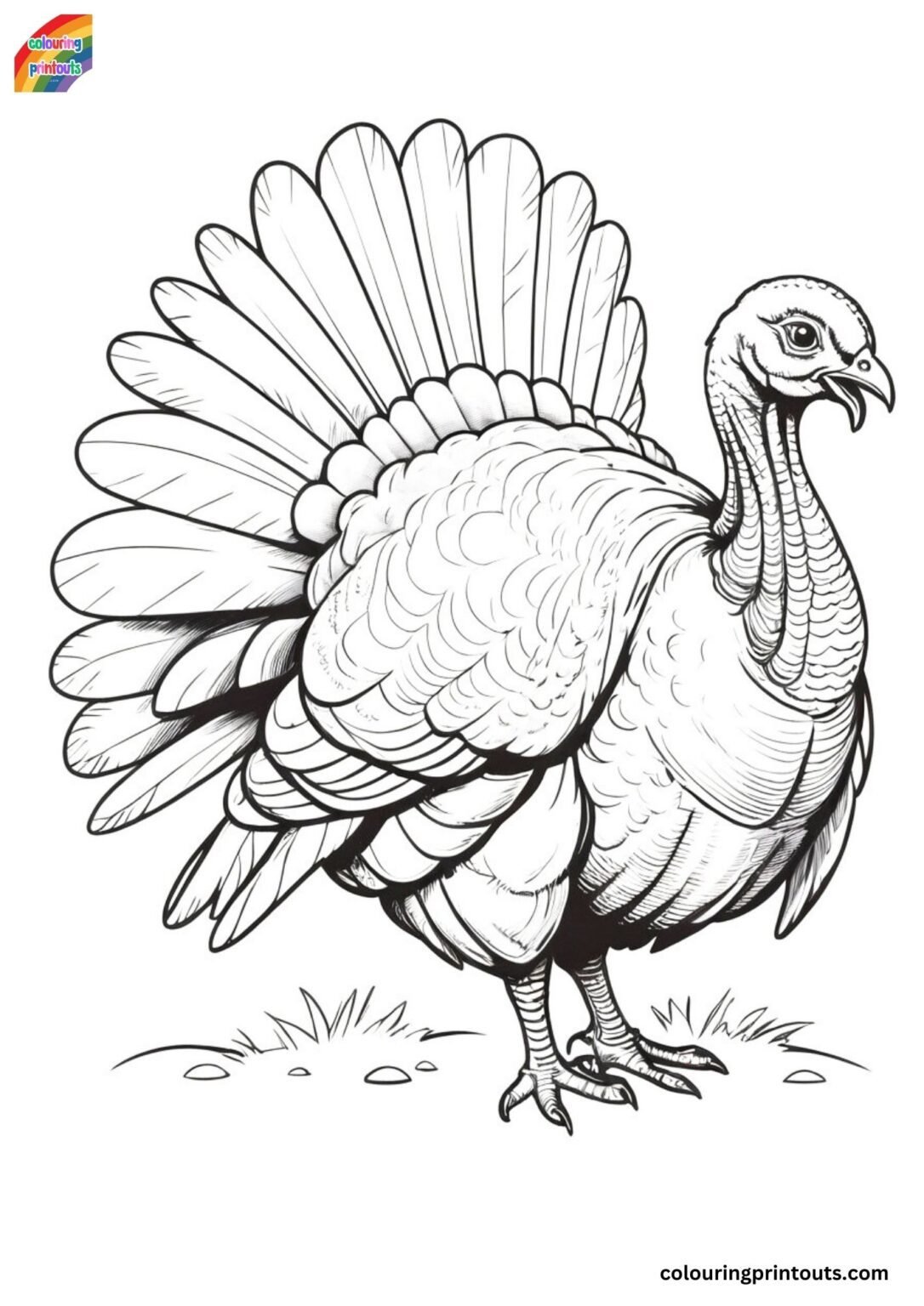 20+ Color Pages of Turkeys Printable [FREE DOWNLOAD]