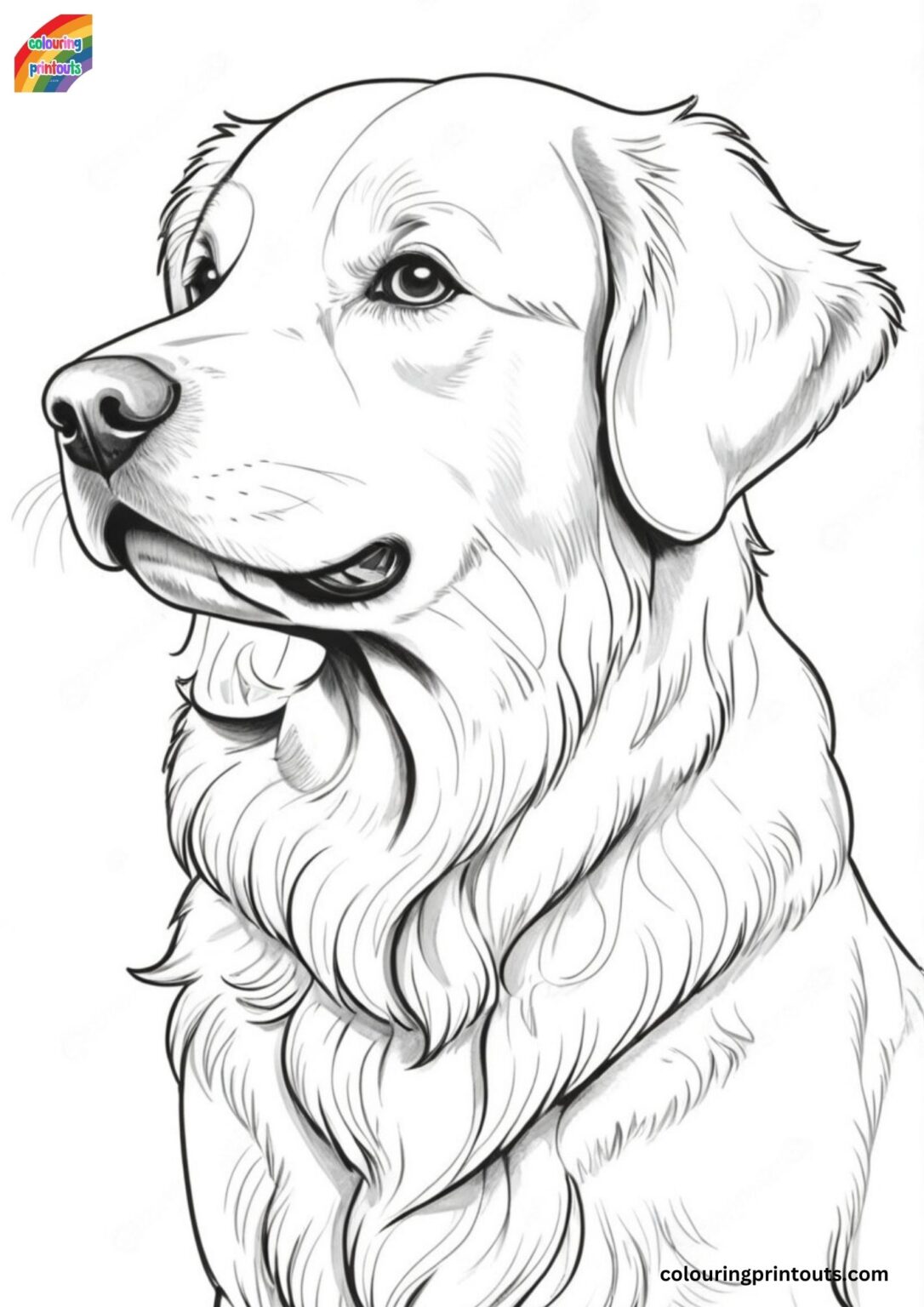 Golden Retriever Coloring Pages Printable (Free Printables)