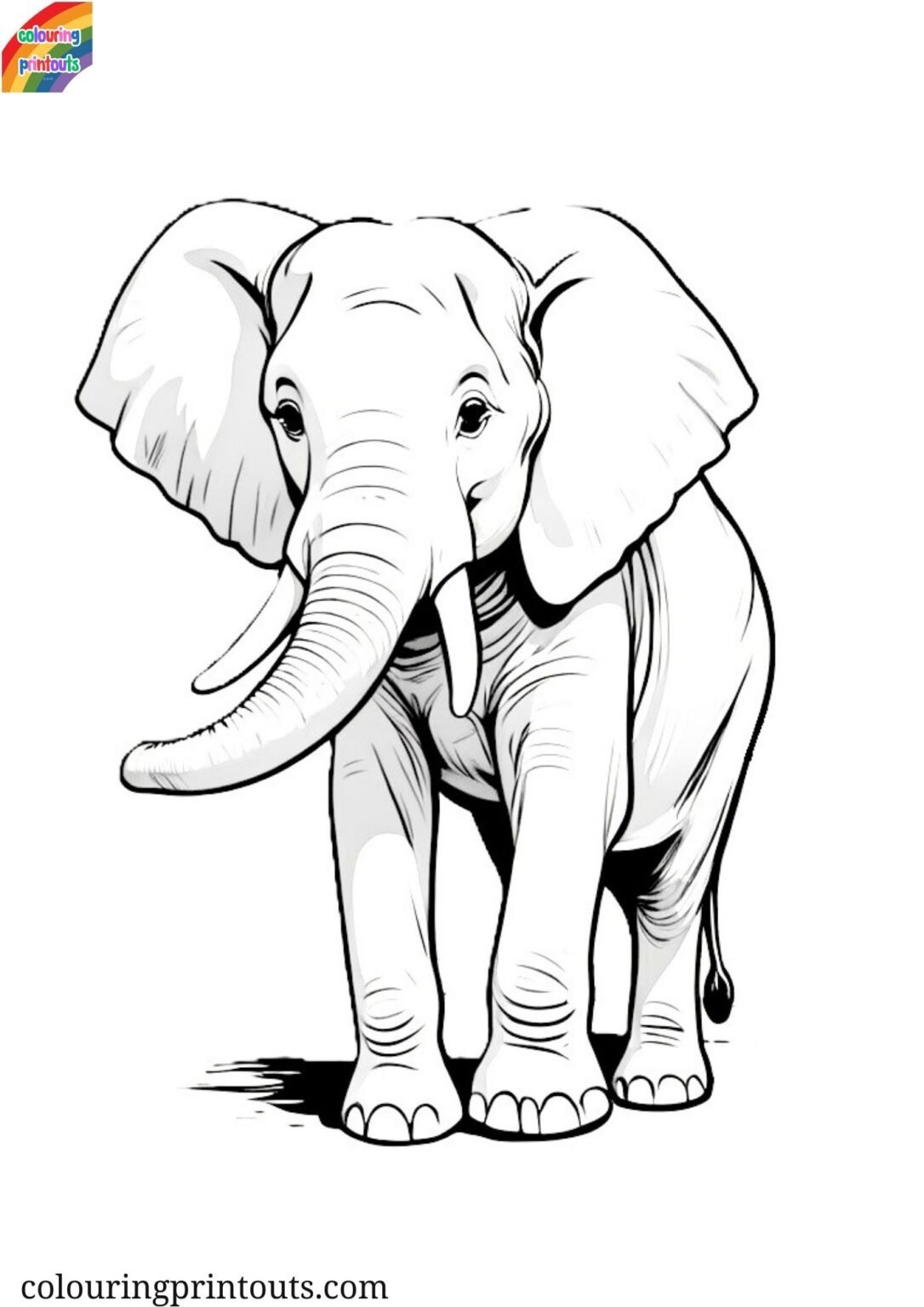 Elephant Coloring Pages (Free Printables)
