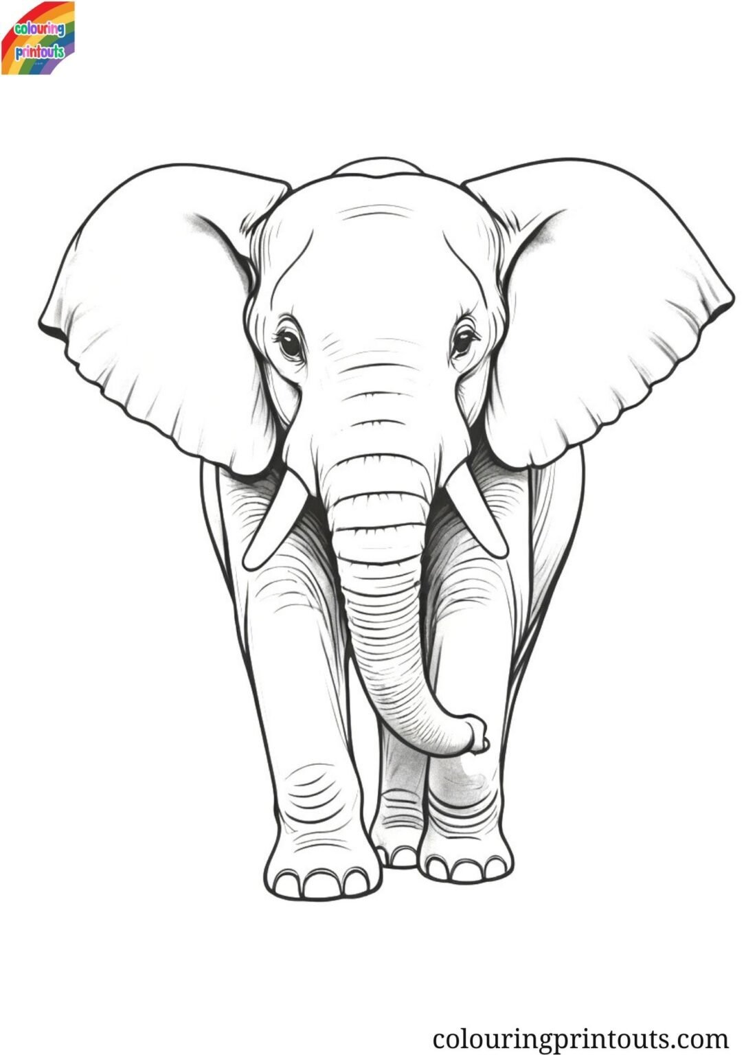 Elephant Coloring Pages (Free Printables)