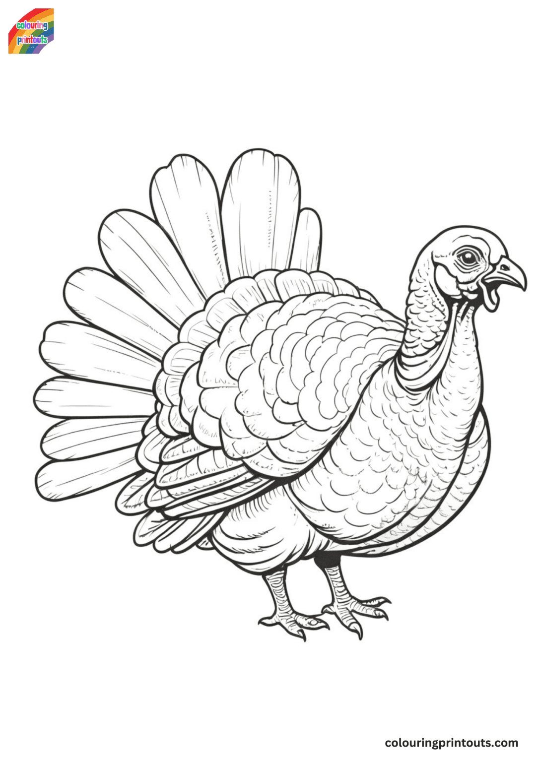 20+ Color Pages of Turkeys Printable [FREE DOWNLOAD]