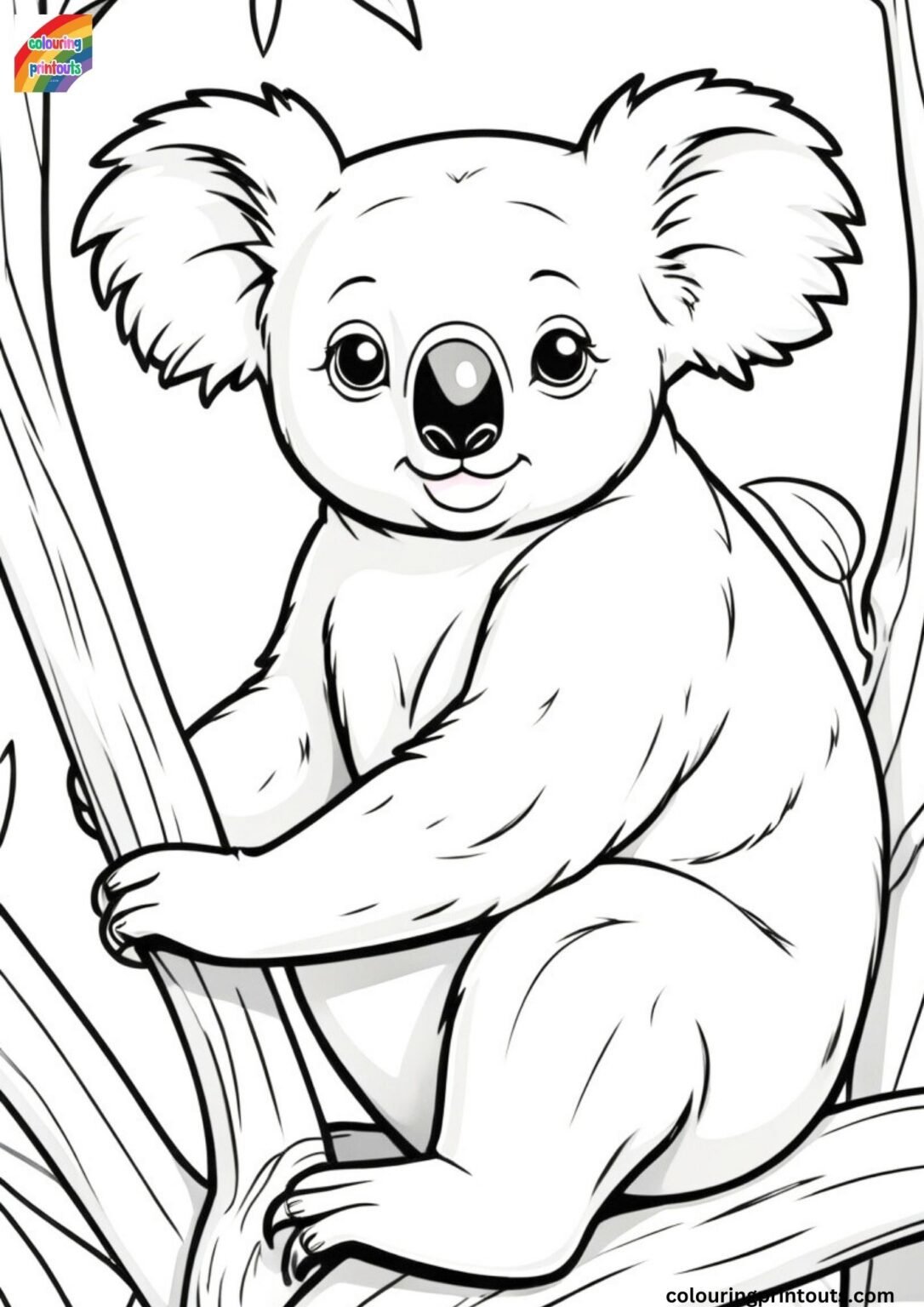 Koala Bear Pictures To Color (Free Printables)