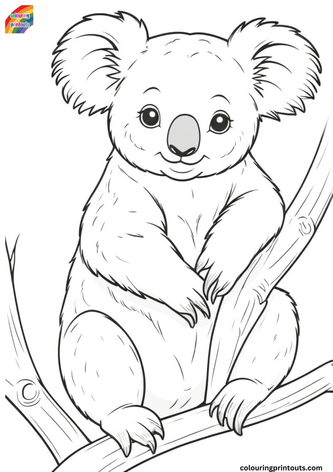 Koala Bear Pictures To Color (Free Printables)