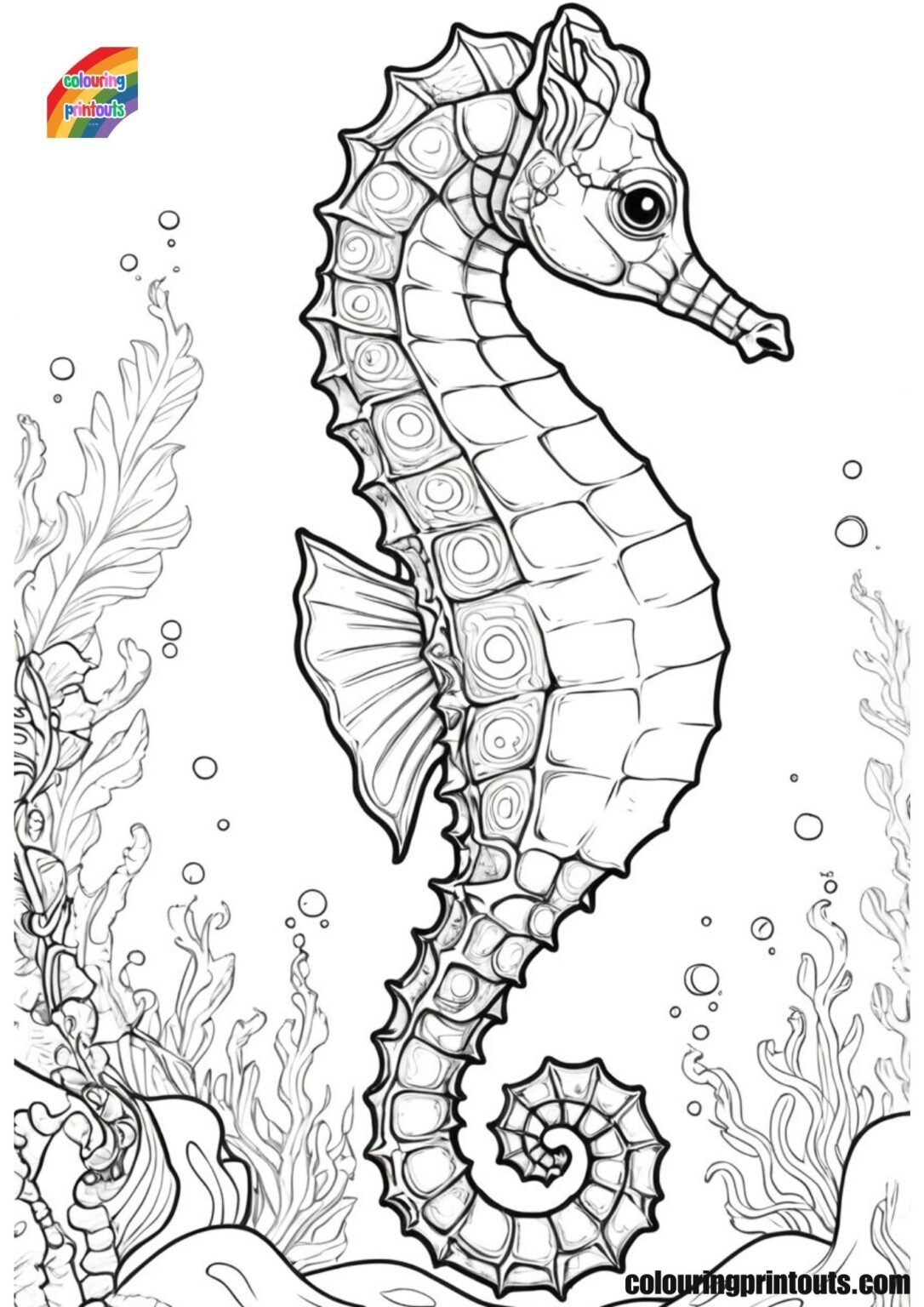 Coloring Pictures of Seahorses [Free Printables]